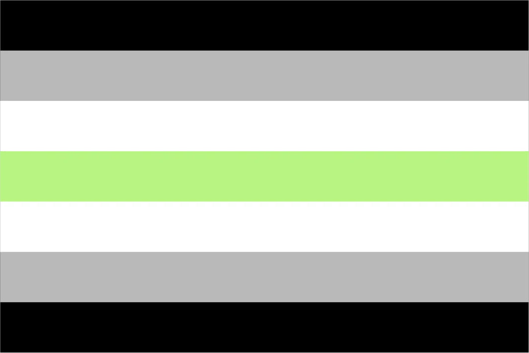 Agender Pride Flag – TH Flags