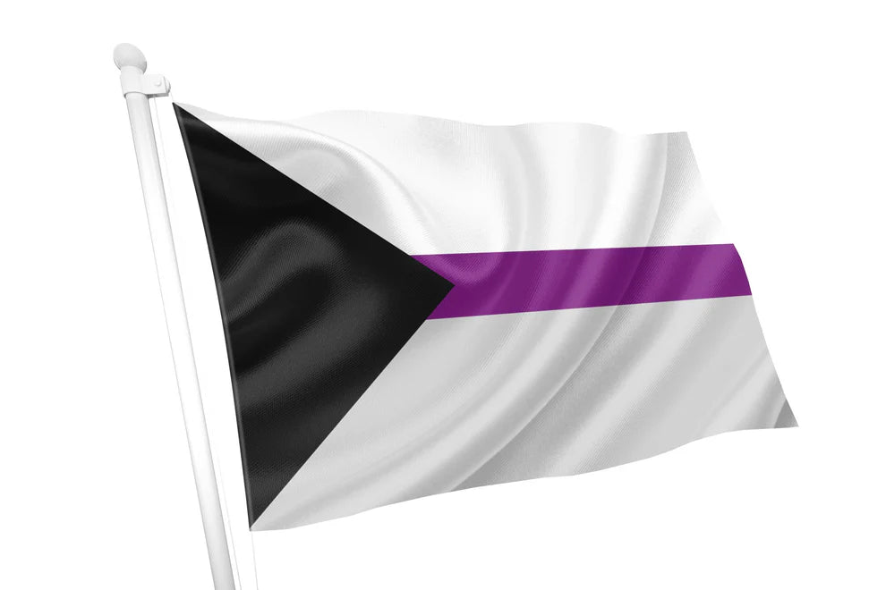 Demisexual Pride Flag – TH Flags