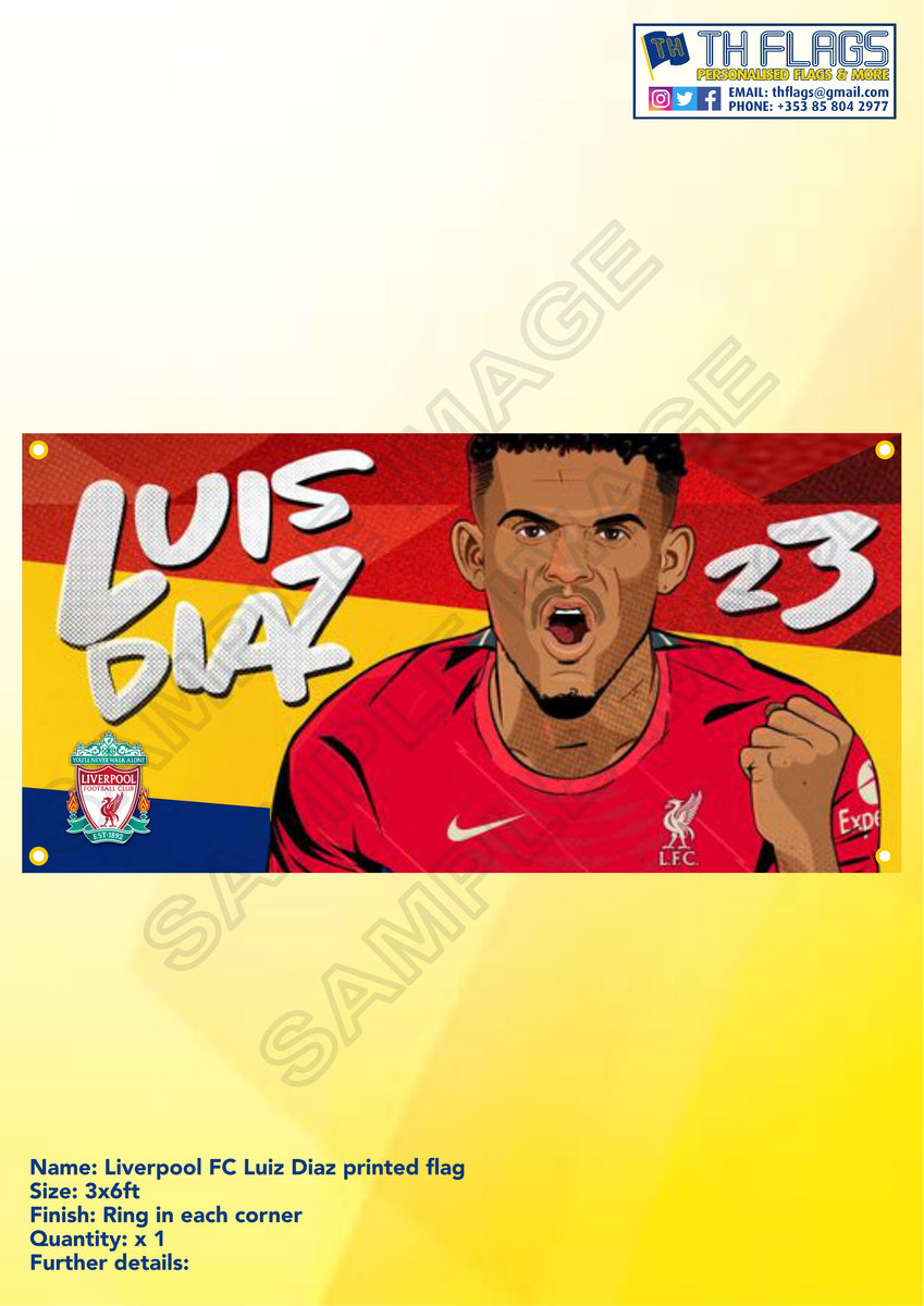 Luiz Diaz number 7 – TH Flags