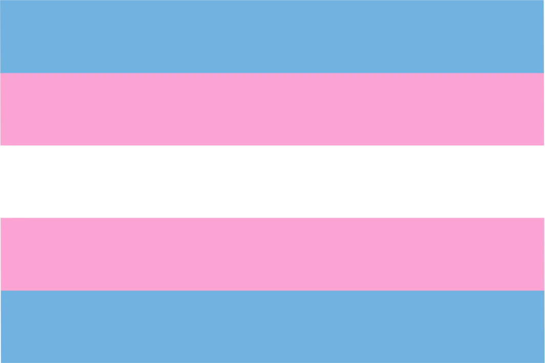 Transgender Pride Flag – TH Flags
